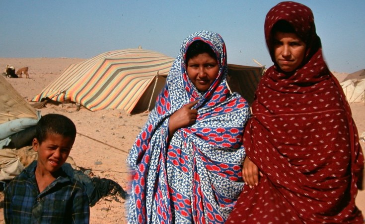 Western Sahara: SADC Shows Unwavering Solidarity With Western Sahara ...