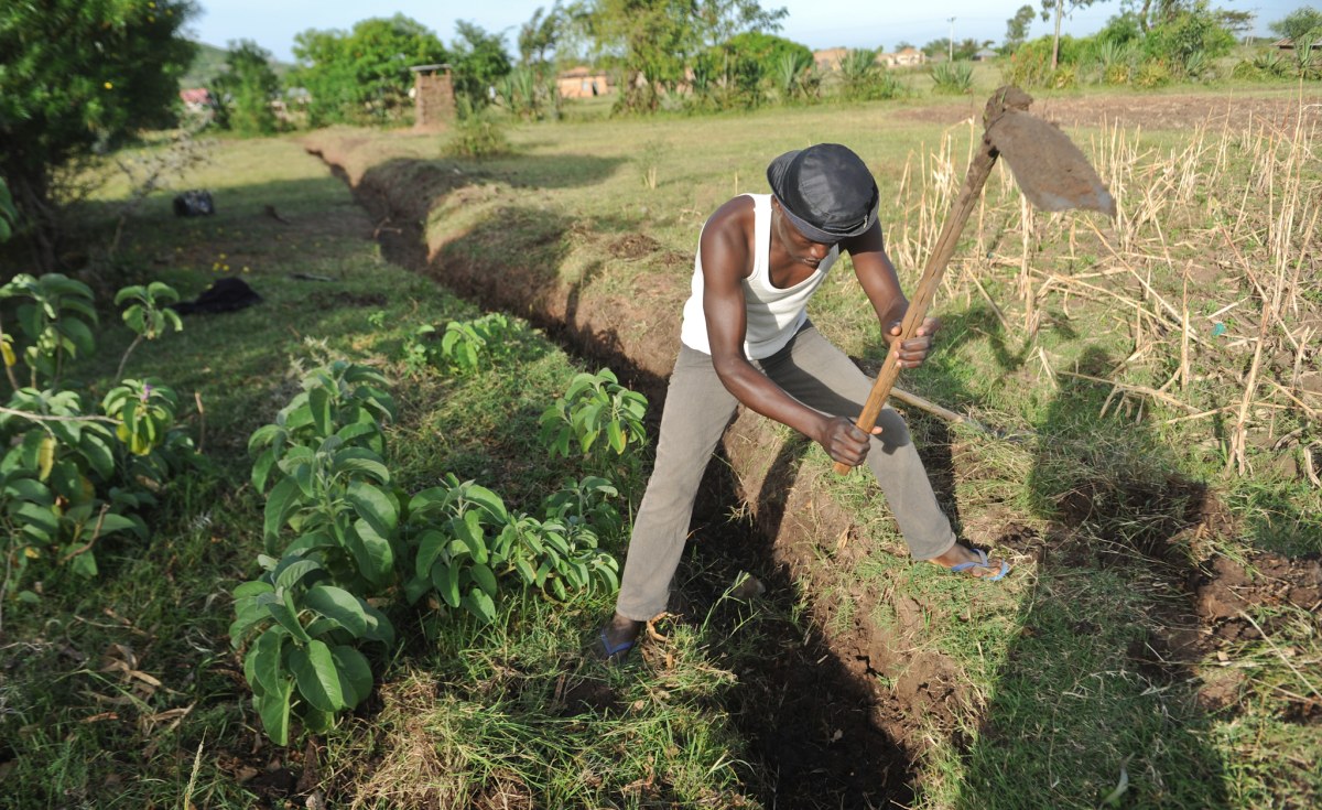PhotoEssay » East African Farmers Fighting Climate Change - allAfrica.com