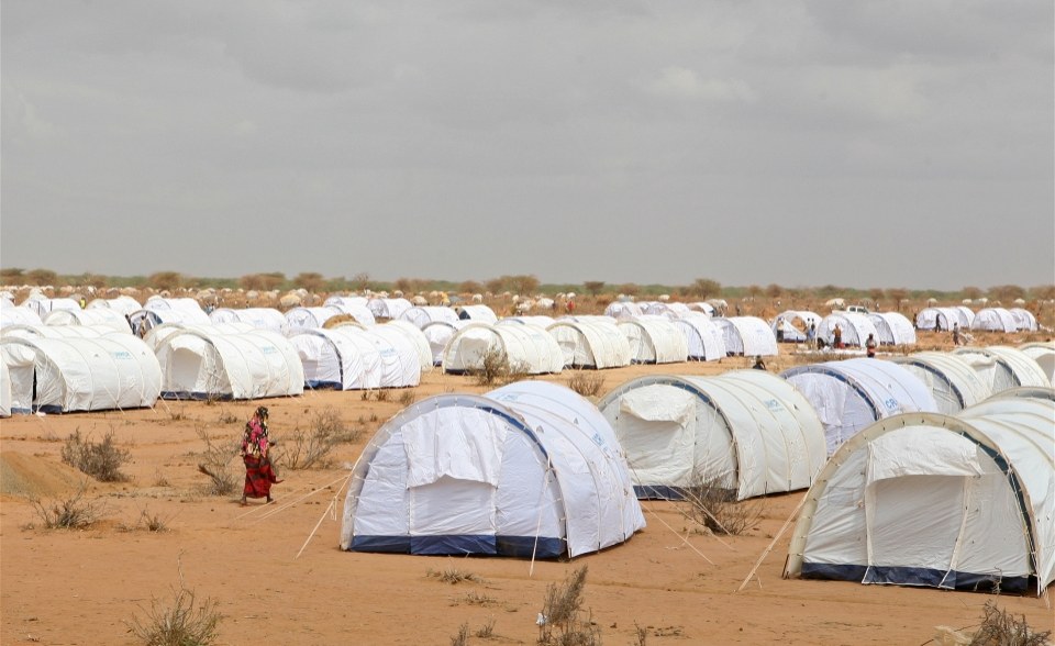 Somali Displaced Face Sexual Violence - allAfrica.com