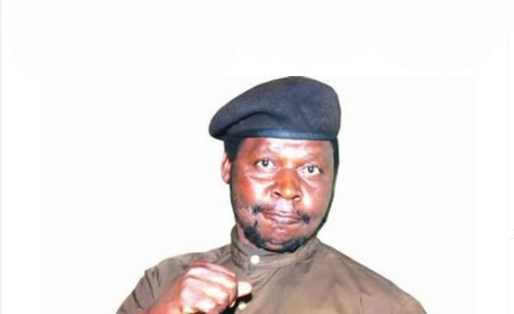 Zimbabwe: Call for Hero Status As Cde Chinx Dies - allAfrica.com