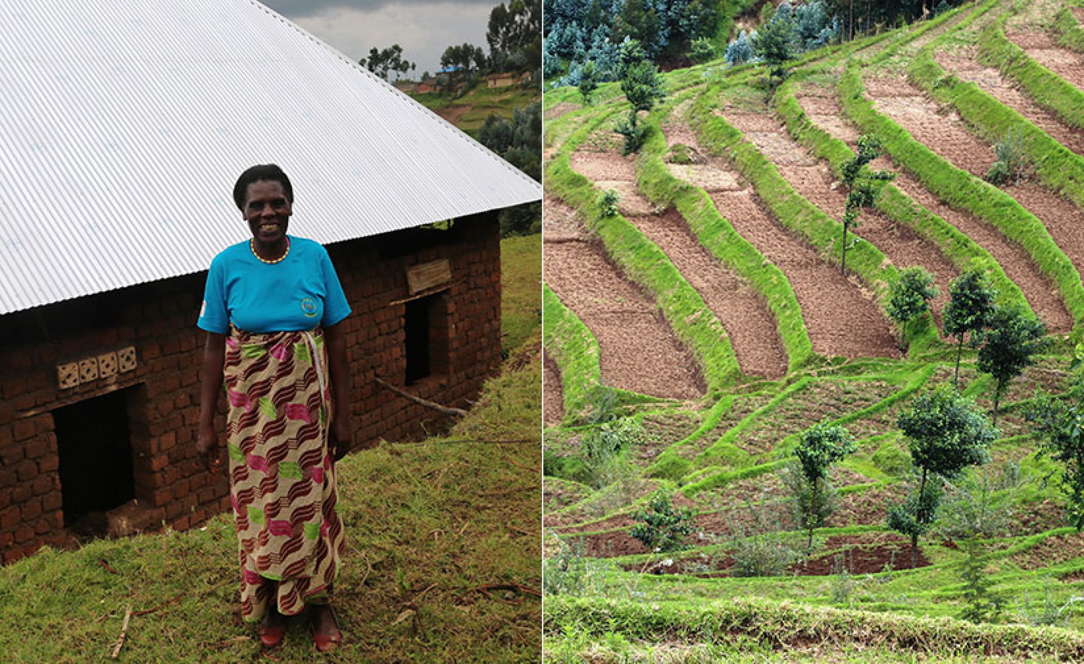 Rwanda: How Hillside Farming Turned Nyabihu Widow Into a Millionaire ...