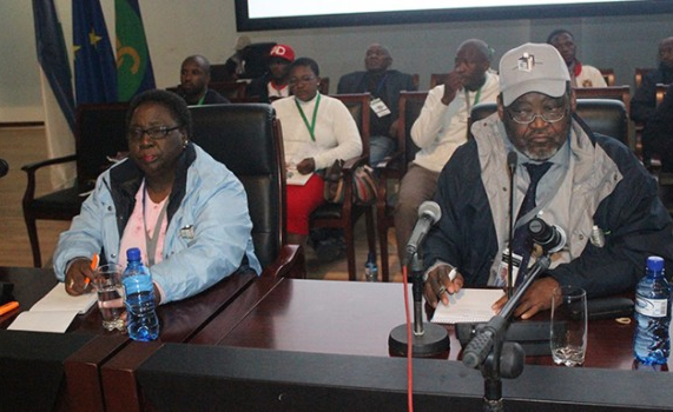 Lesotho: Final Elections Tally Announced - allAfrica.com