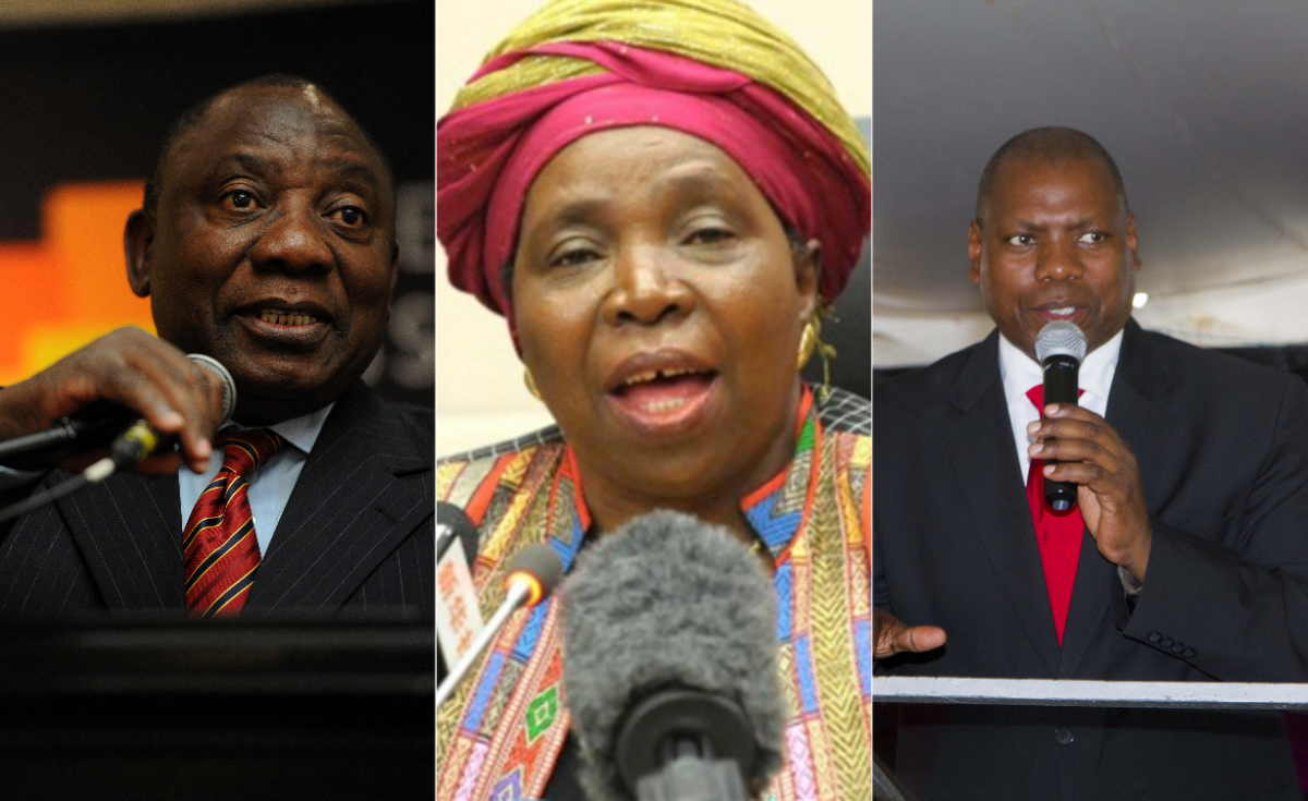 'Factionalism' as South Africa's Elective Conference Nears? - allAfrica.com