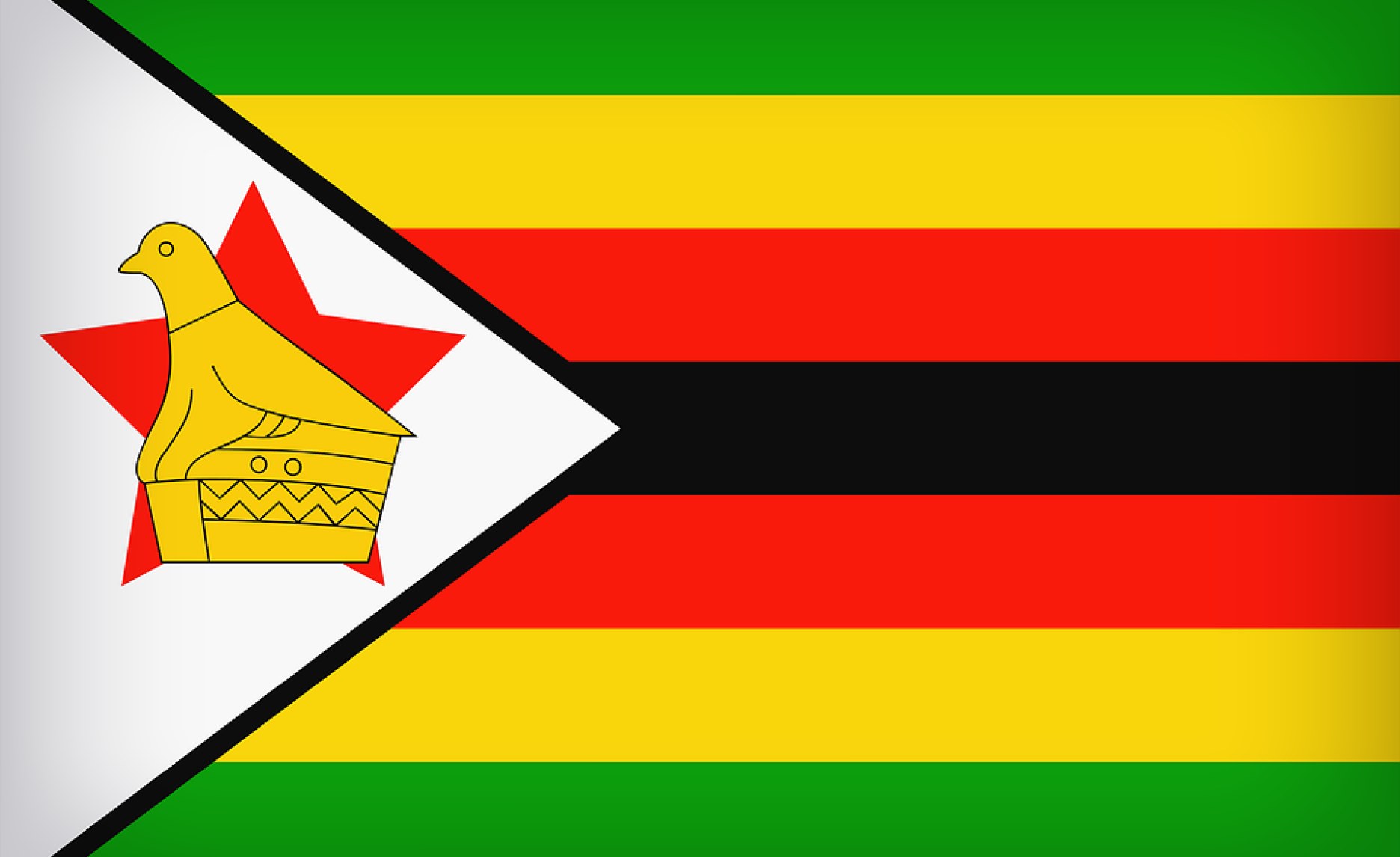 Zimbabwe: President Appoints New ZNA Chief - allAfrica.com