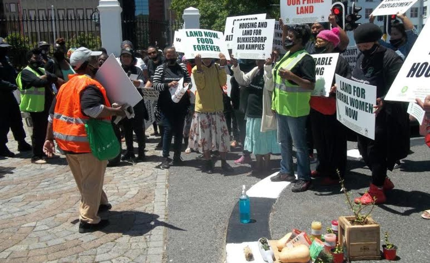 South Africa: Women March for Farm and Land Rights - allAfrica.com