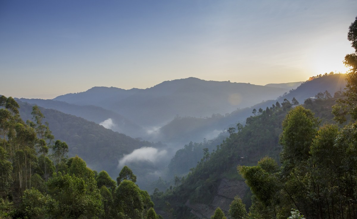 South Africa: Carbon Offset Regulations Amendments Gazetted - allAfrica.com