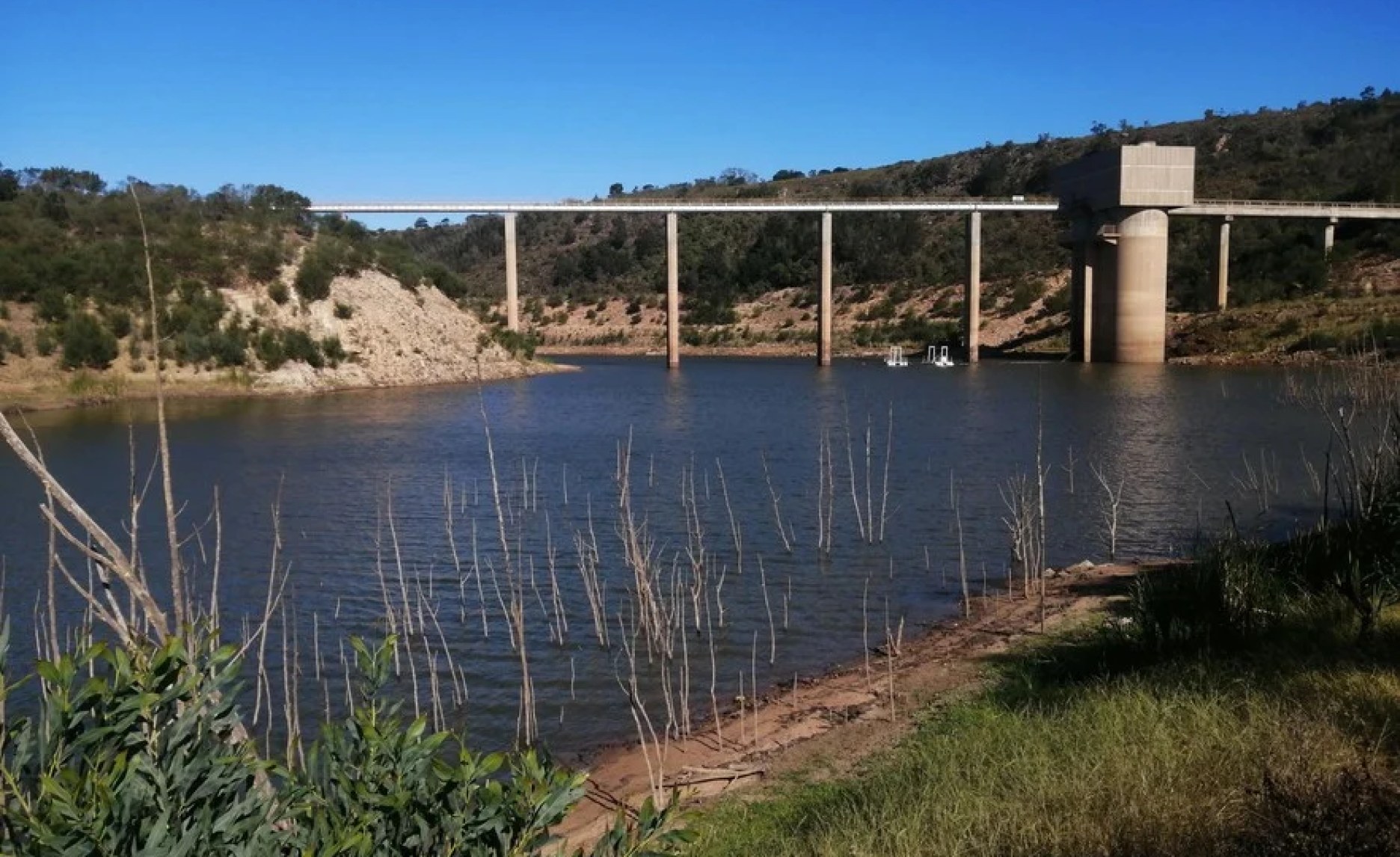 South Africa: First Major Dam Fails As Nelson Mandela Bay Battles Near ...