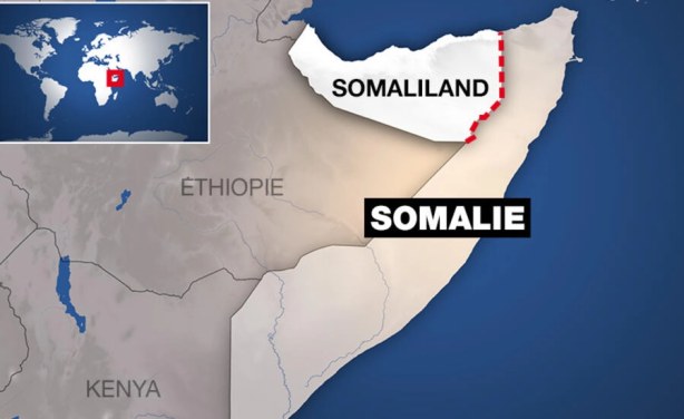 Somaliland Opposition Leader Wins Presidential Election - allAfrica.com